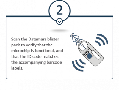 What you should know about Pet ID | Datamars Pet ID