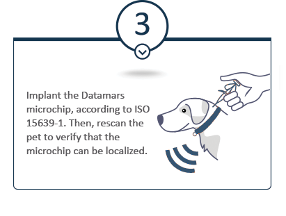 What you should know about Pet ID | Datamars Pet ID