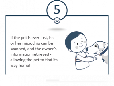 What you should know about Pet ID | Datamars Pet ID